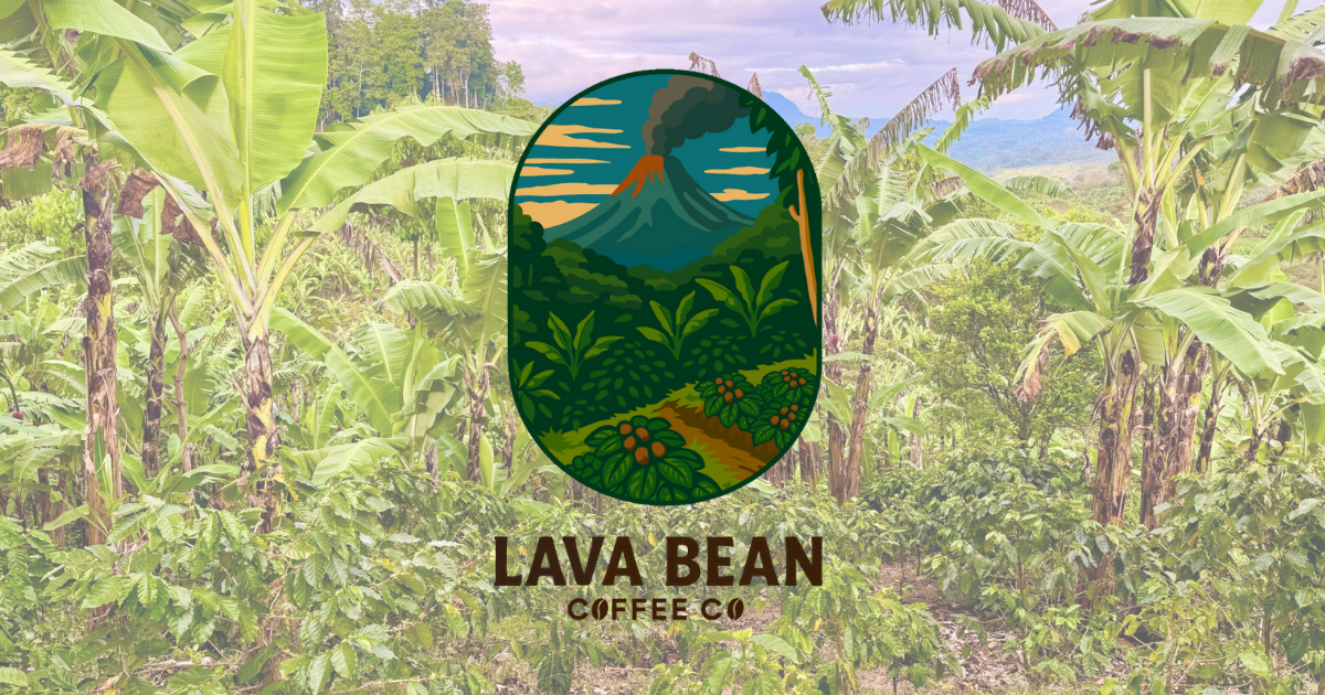 Lava Bean Coffee Co